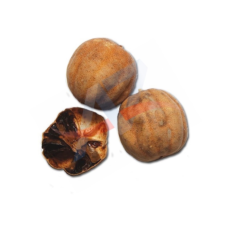 Loumi - dried lemon - bulk purchase